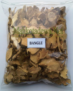 Manfaat Tanaman Bangle Untuk Pengobatan ~ Teh Herbal Pelangsing Alami ...