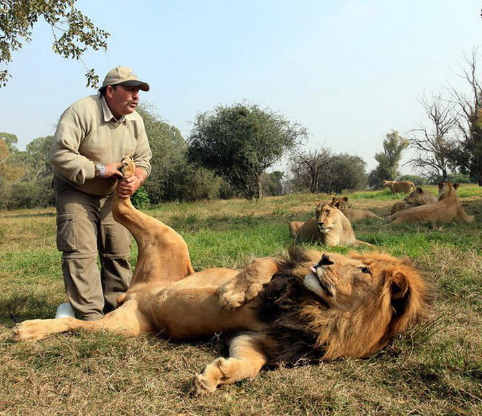 The Oryx Chronicles: What to expect...when you don't know what to expect...