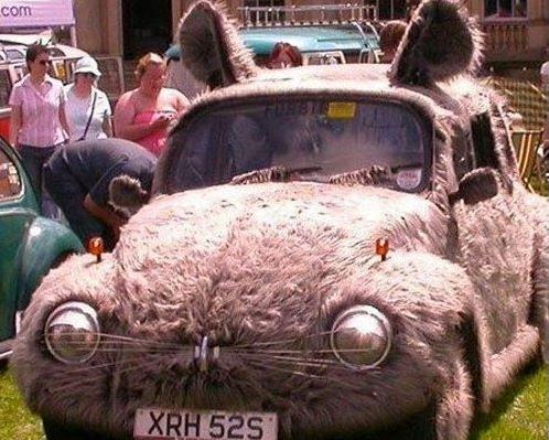 10 cars shaped like animals (pics) ~ Full Cars