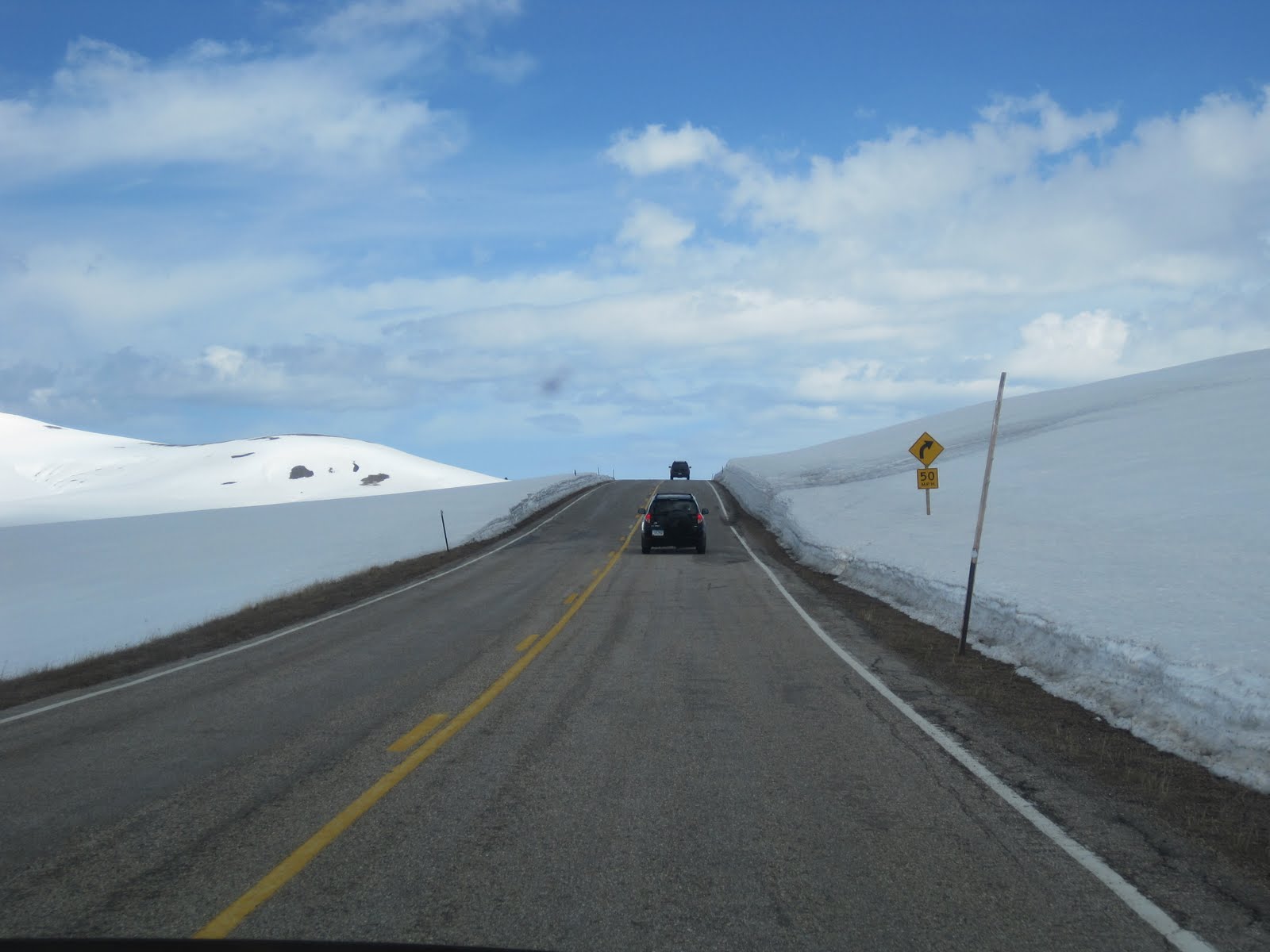 The Scallywagon: YOU SKIN GRIZ', PILGRIM? Yellowstone National Park