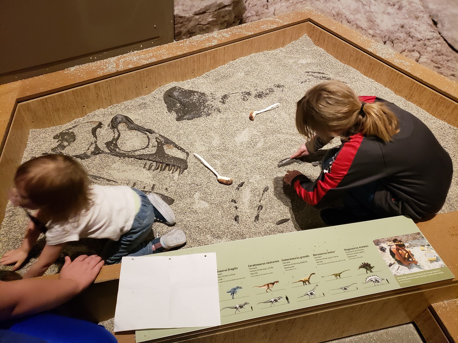 Twelve Makes a Dozen: Field Trip! Natural History Museum of Utah