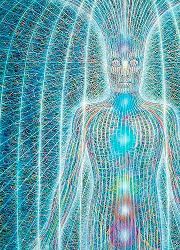 Sevasblog : things I like: Alex Grey