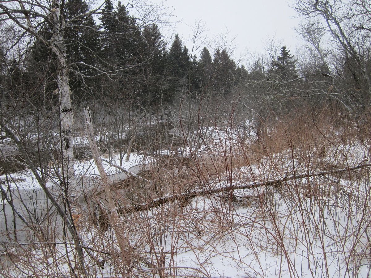 Pedaling PEI: Dunk river