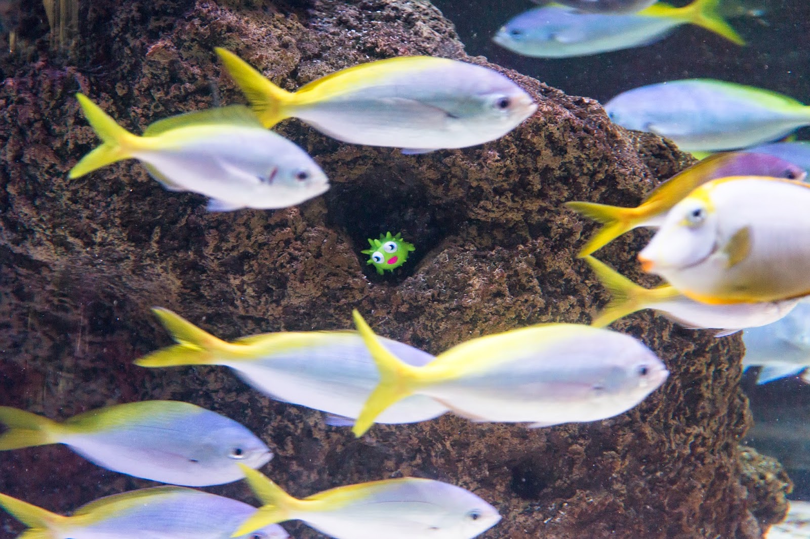 DIVE INTO THE WORLD OF MOSHI MONSTERS™ AT SEA LIFE - Mummy Be Beautiful