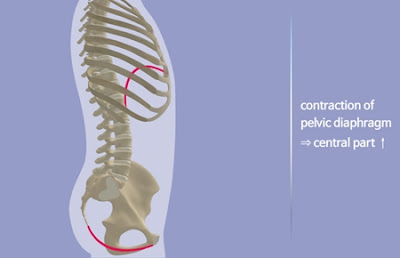 New Kegel Exercise: 1-3. Learning tips for New Kegel Exercise ...