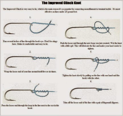 Fly Fishing - Basics, Knots and Techniques