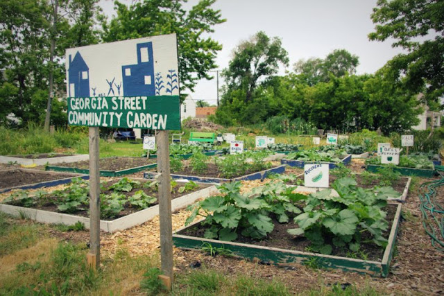 wanderCRAFT: Natural Detroit:: DIY Urban Garden Tour
