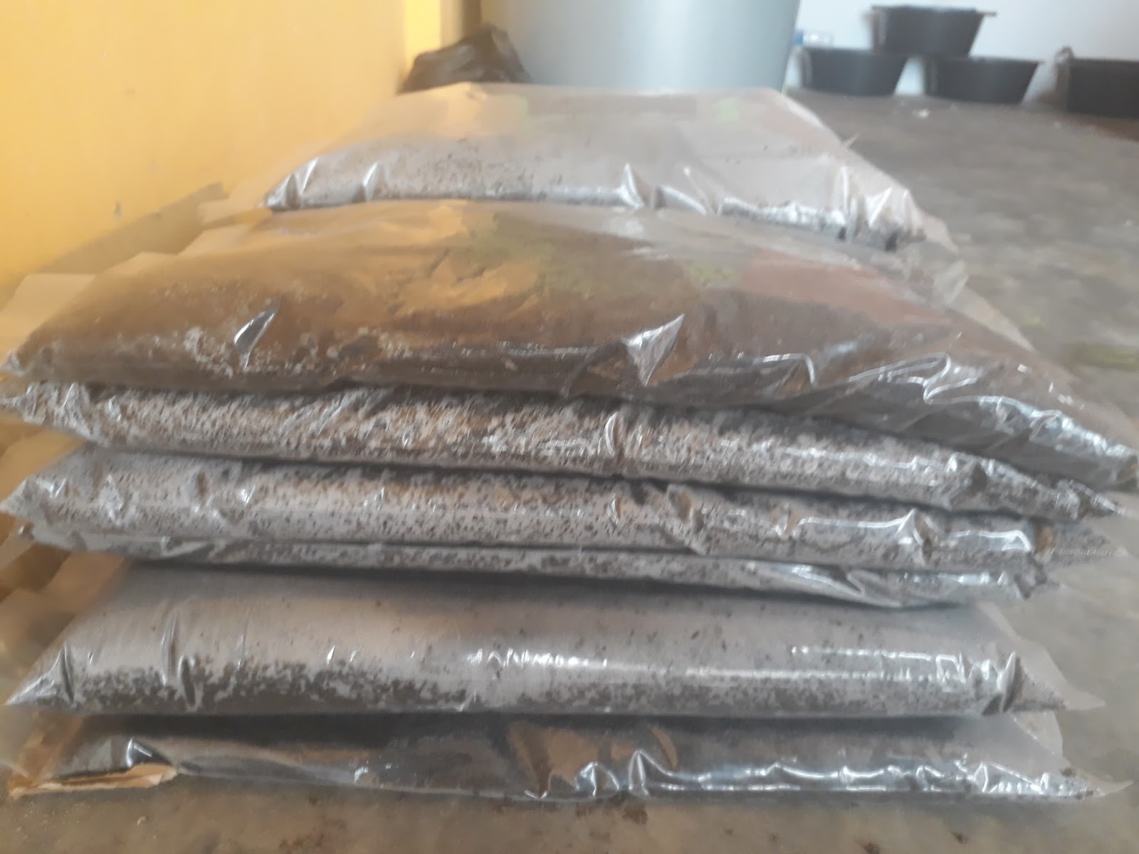 Jual Pupuk Organik Kascing Atau Kotoran Cacing Di Medan | TALITAKUM ...