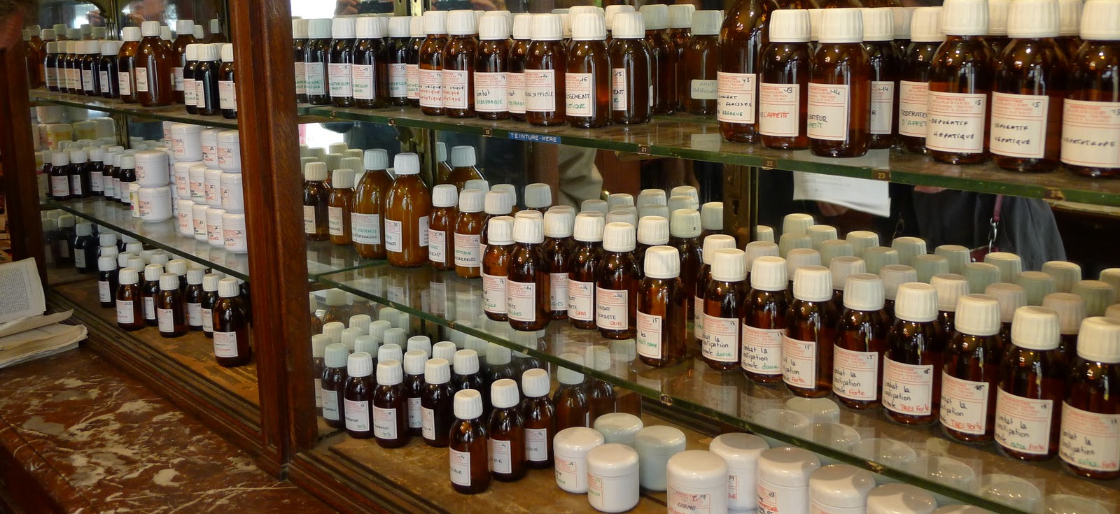 The Herbalist's Shop