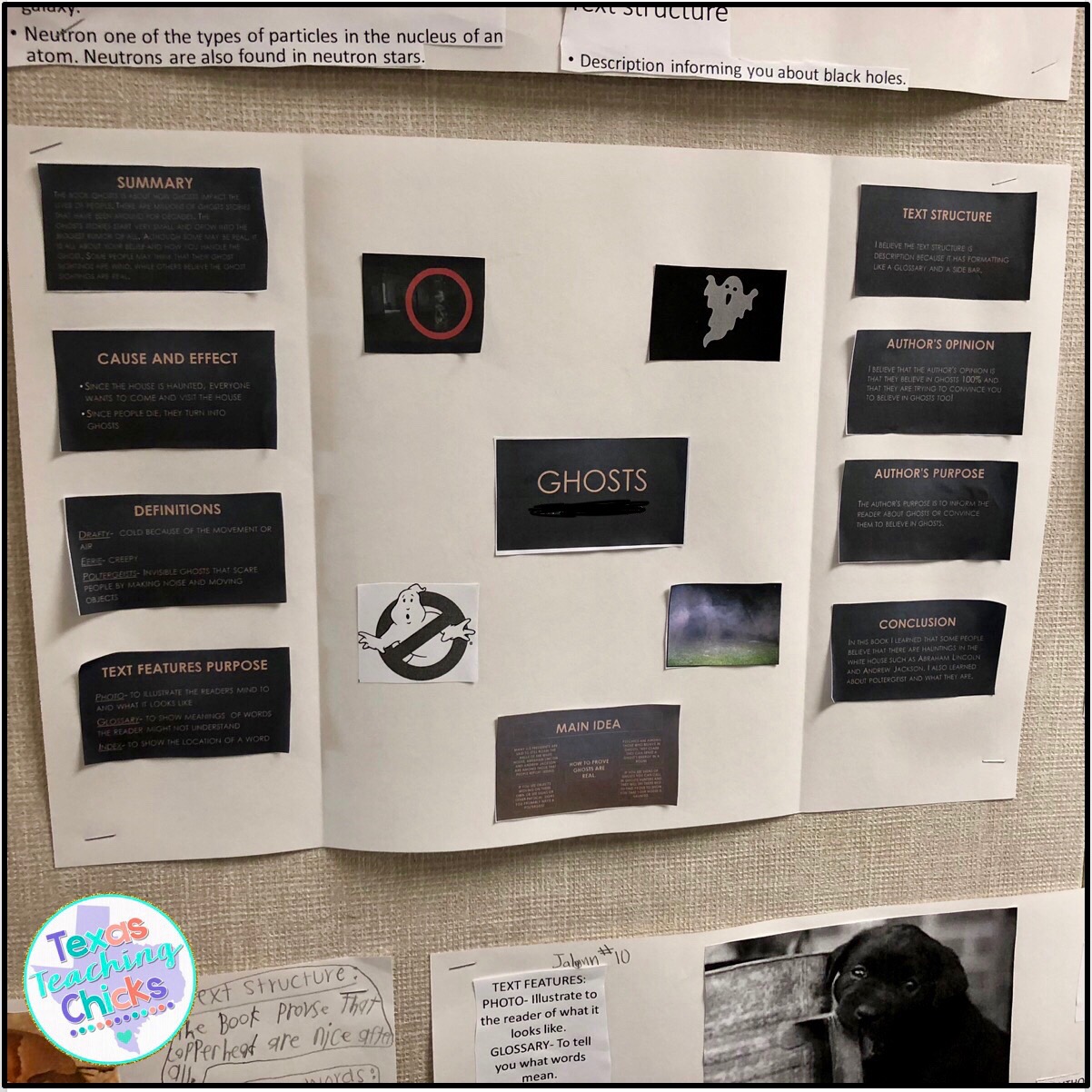 Nonfiction Book Poster Project - Texas Teaching Chicks