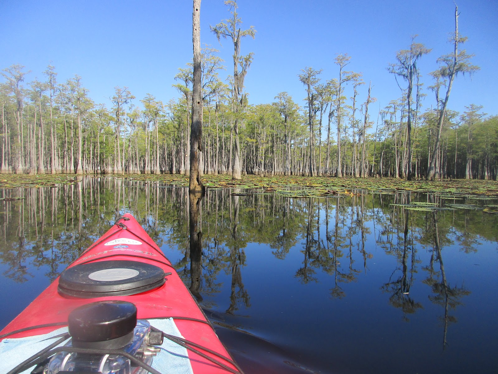 Dave's Yak Tales: Florida Caverns State Park and Ocheesee Pond