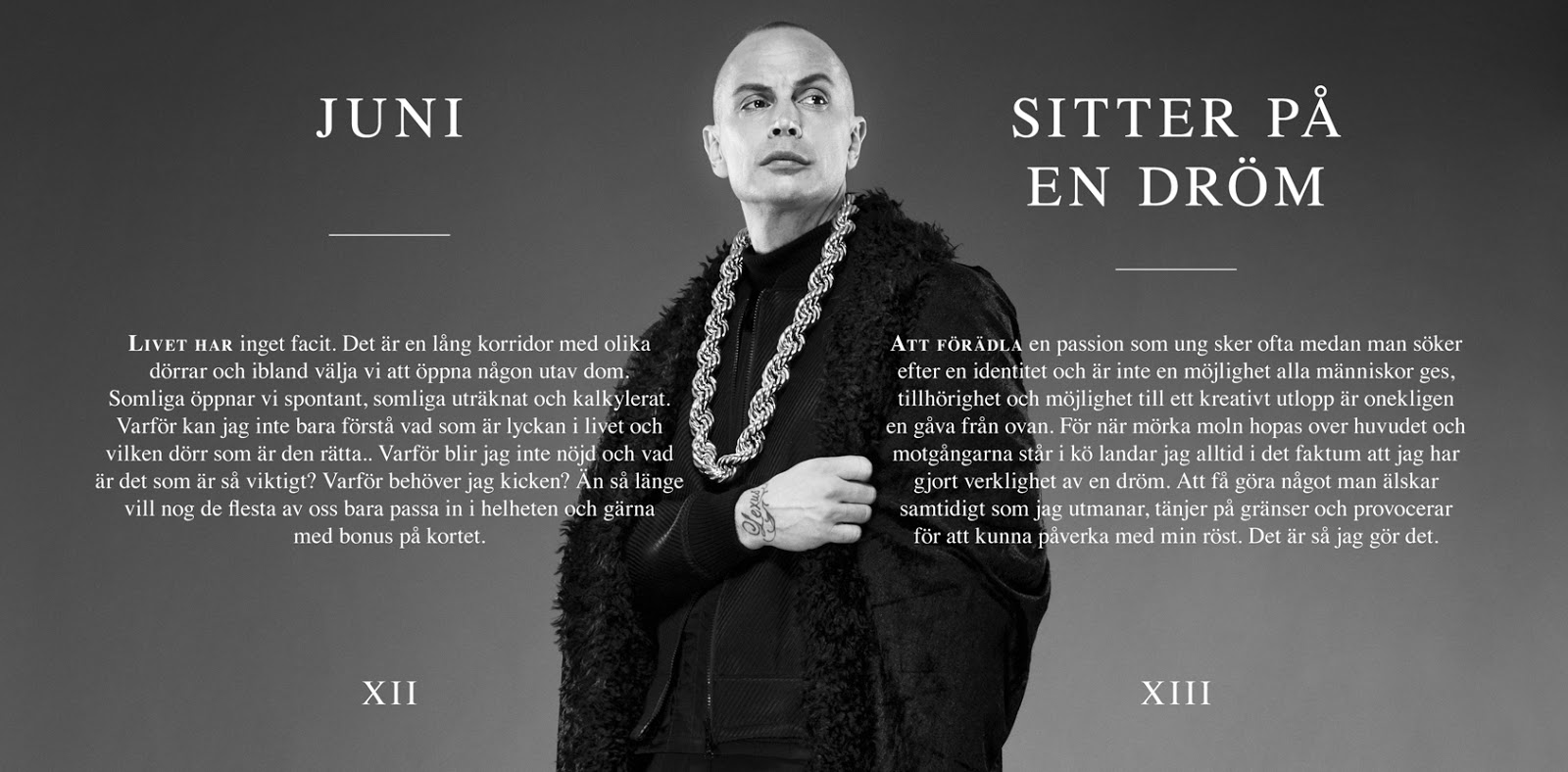 Bruzzes Diary: PETTER - NEW ALBUM