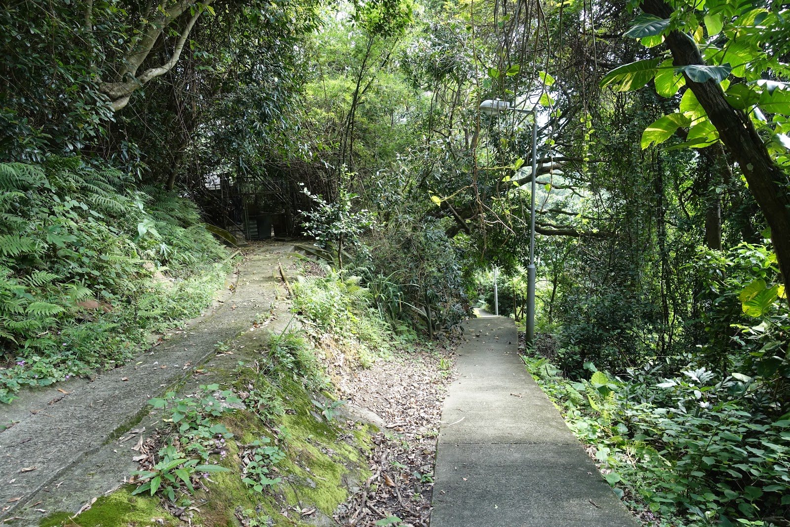 消耗五百食翻一千※香港行山記: 昂坪→鹿湖→靈隱寺 Ngong Ping → Luk Wu → Ling Yan Monastery