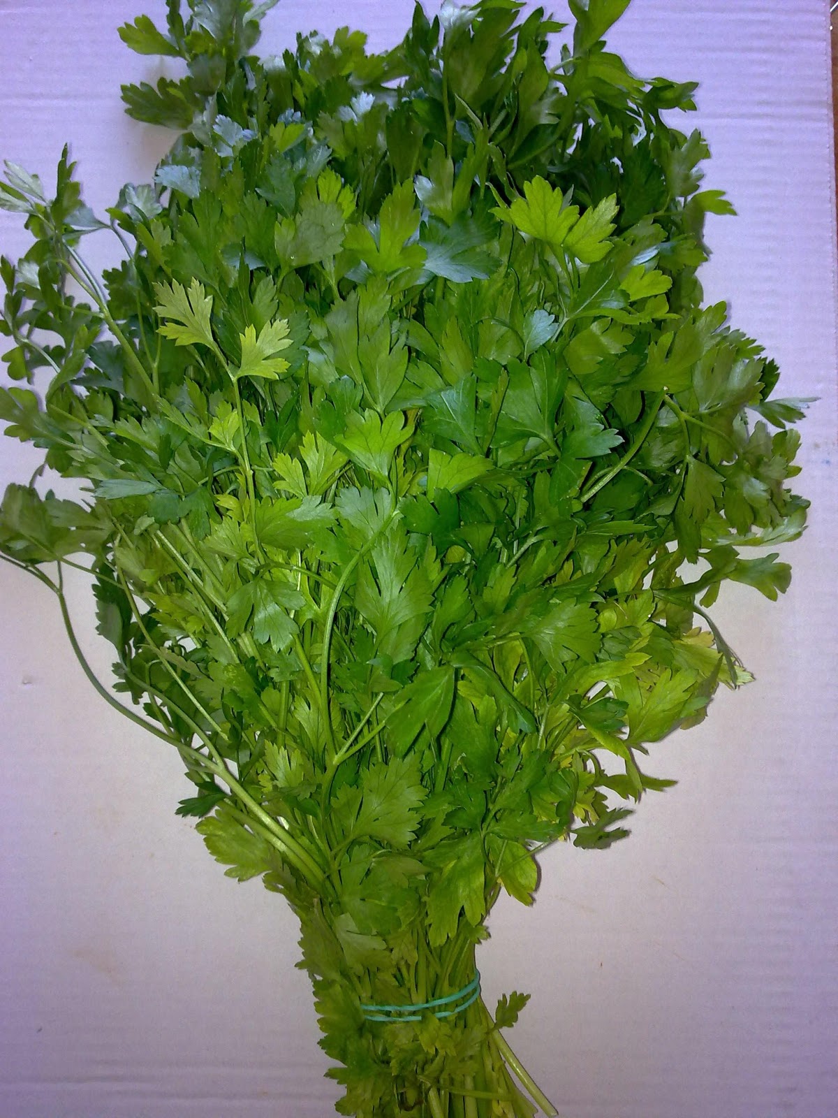 PEREJIL ~ EL GRAN CHAMAN