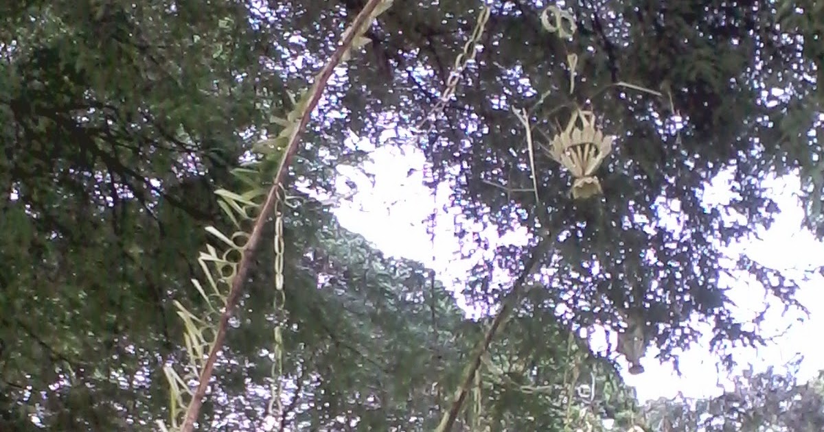 JOGJA DEKOR | JASA DEKORASI PERNIKAHAN WEDDING GATHERING YOGYAKARTA ...