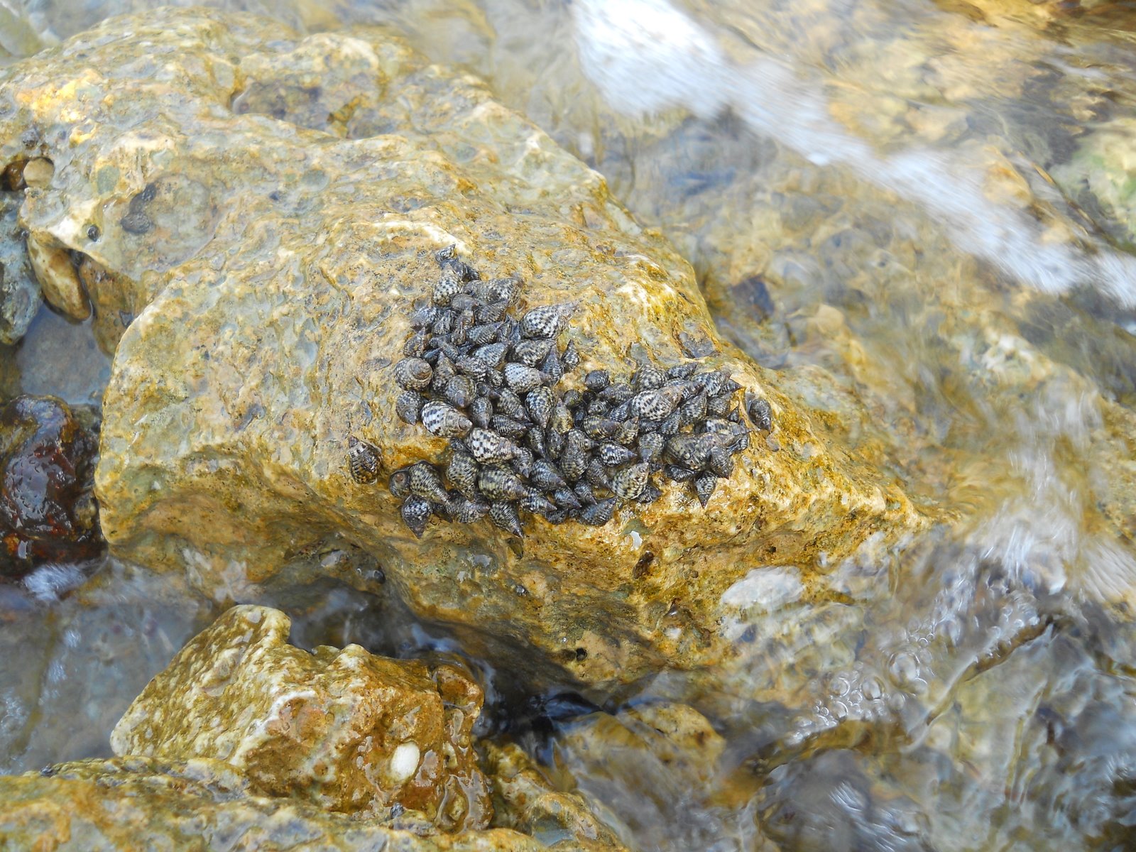 Wandering Weavers: Tengan Pier