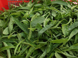 Sabah Snake Grass Dealer Singapore: Prices of Sabah Snake Grass Leaves