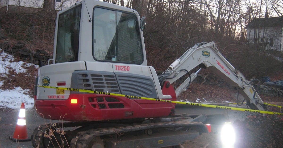Hilltop Gothic: Another Bobcat in My Yard (originally posted December 2016)