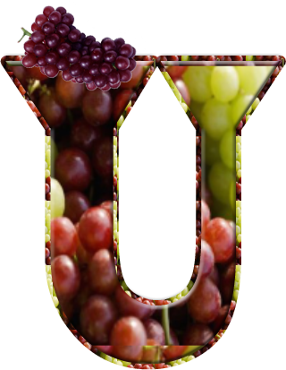 Alfabeto relleno con uvas. - Oh my Alfabetos!