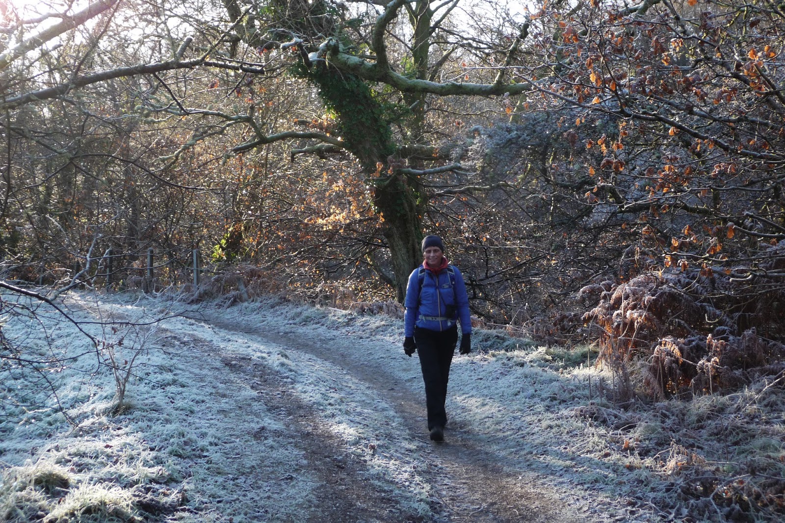 So, in my opinion...: THAT DARN WALK