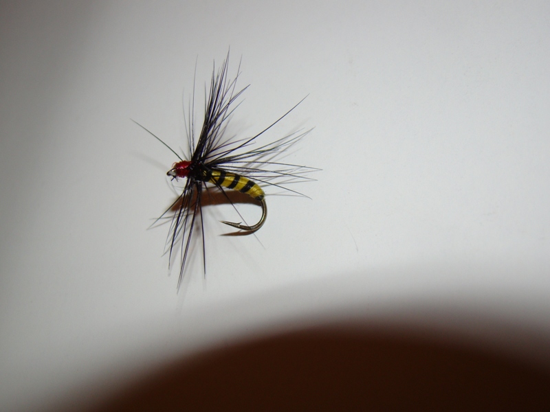 Pescuit cu musca artificiala: Taparina CLEAN