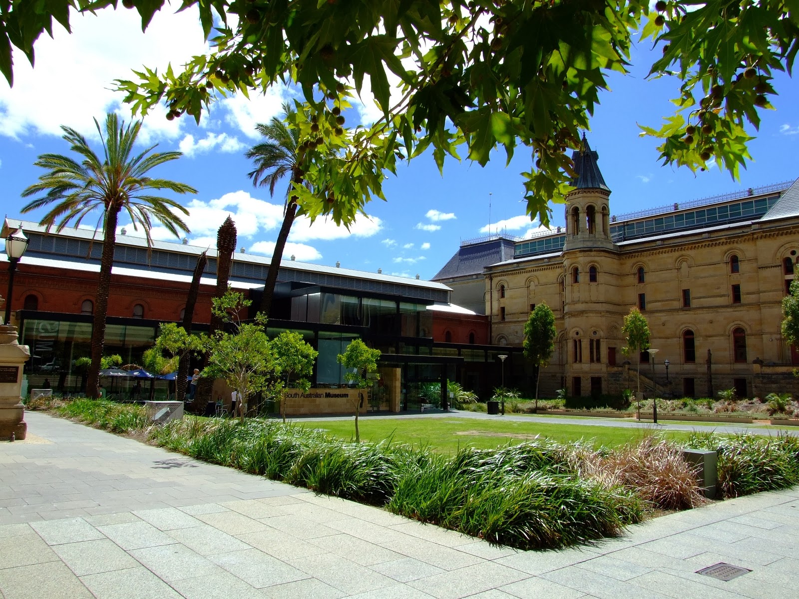 Meander to the Max: Heading downtown to the South Australian Museum ...
