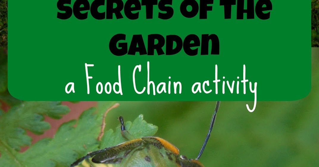 Share it! Science : Secrets of the Garden: A Food Chain Activity