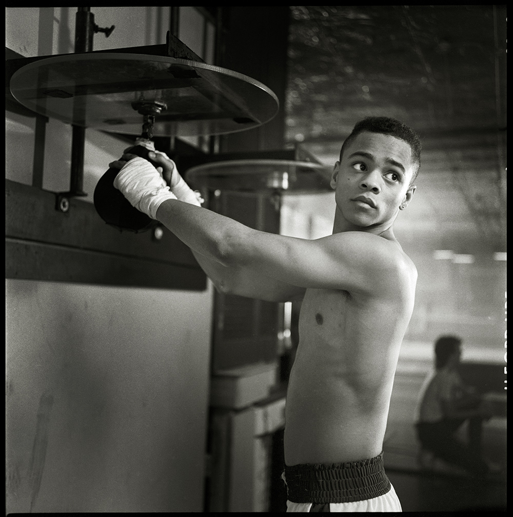 some old pictures I took: The Boxer