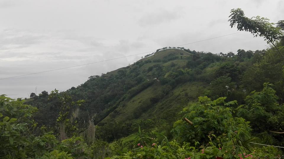 MI VEREDA CACIQUILLO: IMÁGENES DE NUESTRA VEREDA