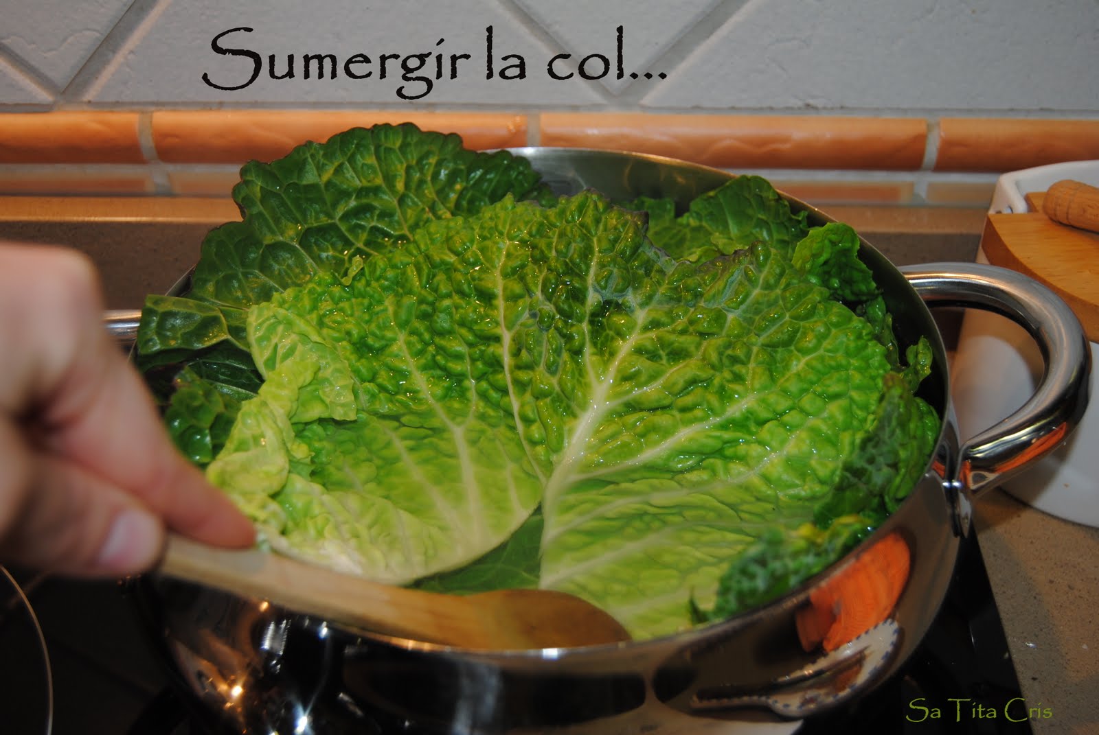 SA TITA CRIS: LLOM AMB COL (LOMO CON COL)