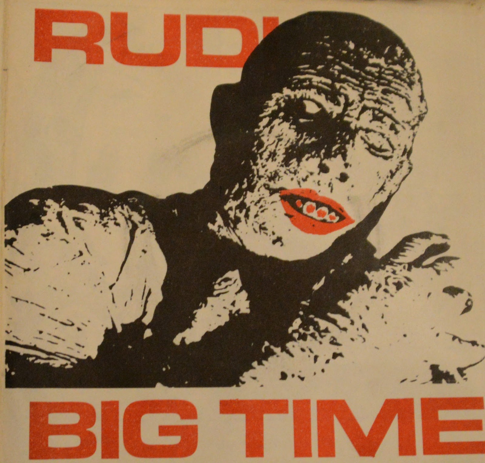 There's Something Hard in There: RUDI: First out of the Belfast punk ...