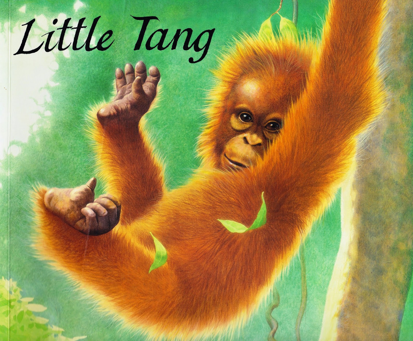 Little Library of Rescued Books: October 2014