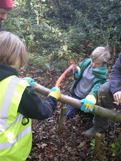 Life's Adventures: Forest School for home schoolers