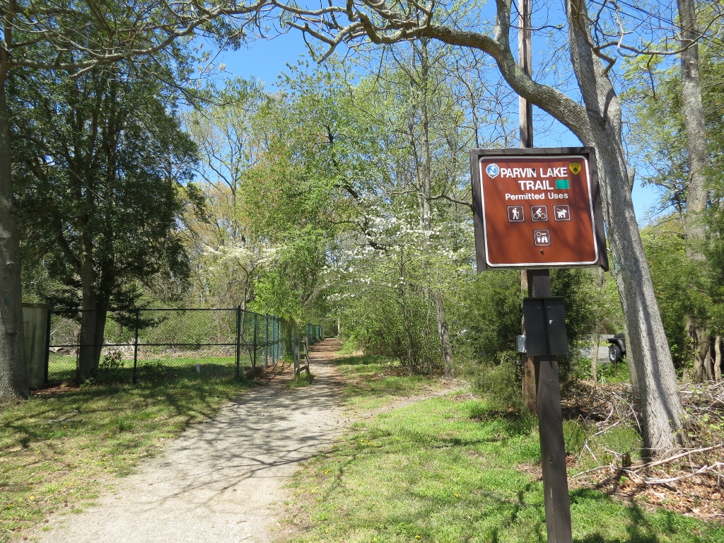 Gone Hikin': Parvin State Park, NJ