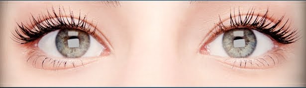 My LashDip Experience at Noir Lash Lounge - Solo Lisa