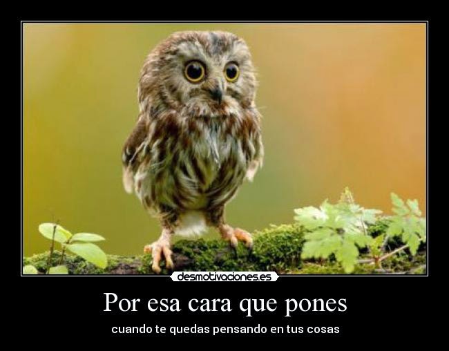 Mi Sentido Curioso: PRESENTACIÓN