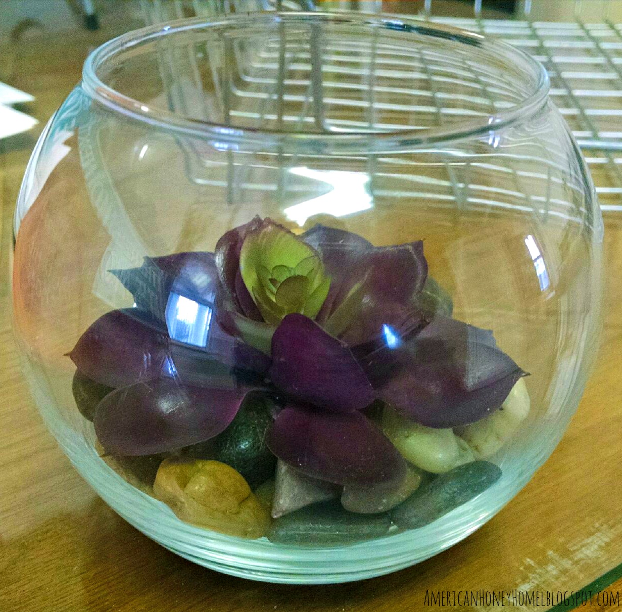 American Honey Home: Dollar Store Terrarium