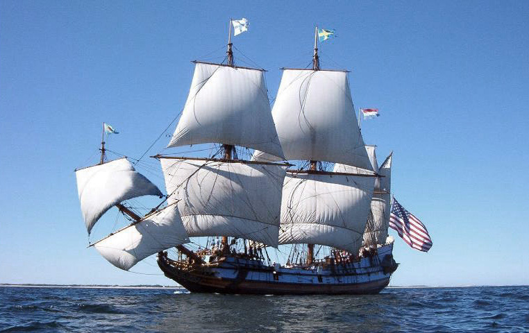 The Log of Spartina: a bend in the river