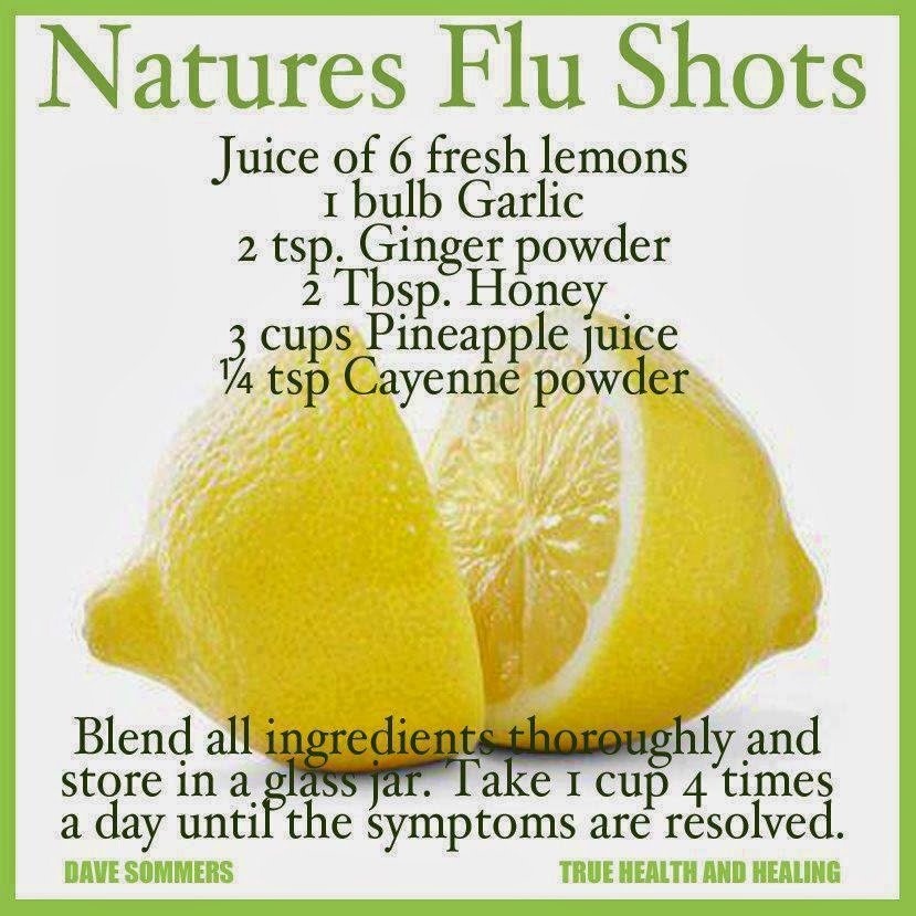 Sprout's Green Family: Prepare for Cold Season with this Natural Flu ...