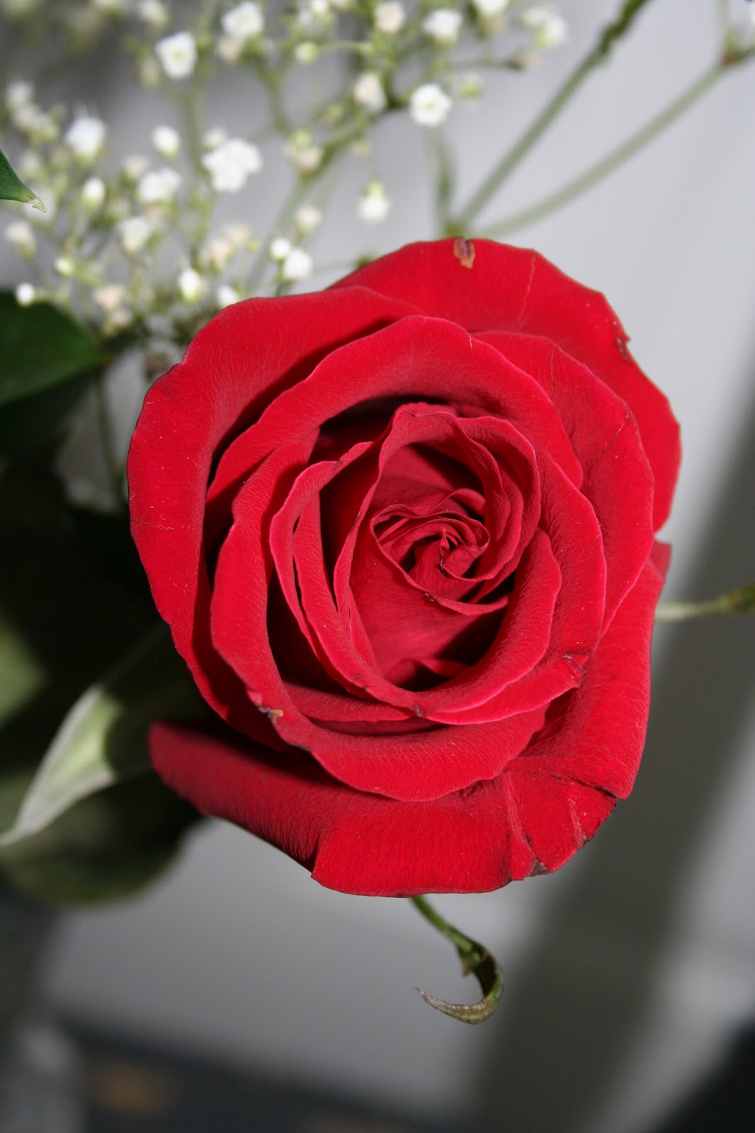 Cultivating Learning: Activities for all Seasons: Beautiful Things ...