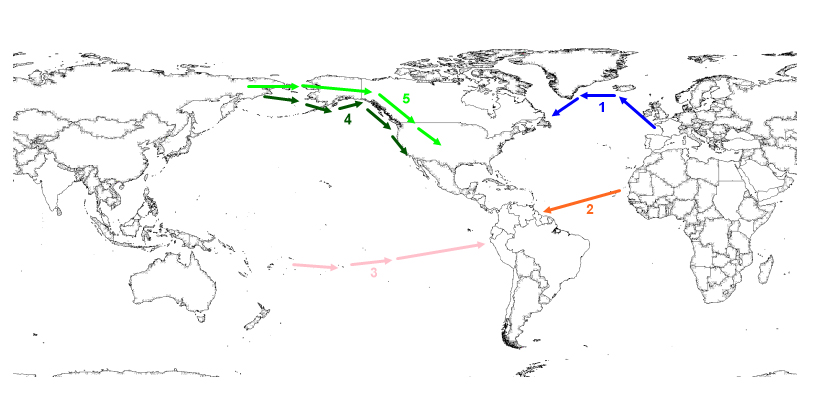 thefuzzysasquatch: The Ice-Free Corridor and the Early Peopling of the ...