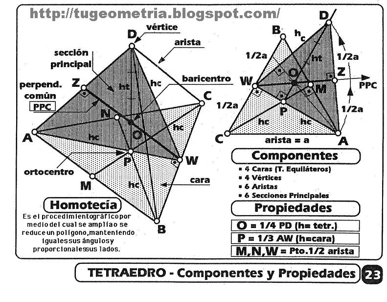 Tu Geometría en ABC..!!: Tetraedro - Sección Principal