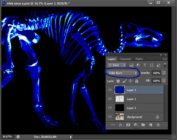 PhotoEffect: How To Create An X-Ray Image Effect In Photoshop