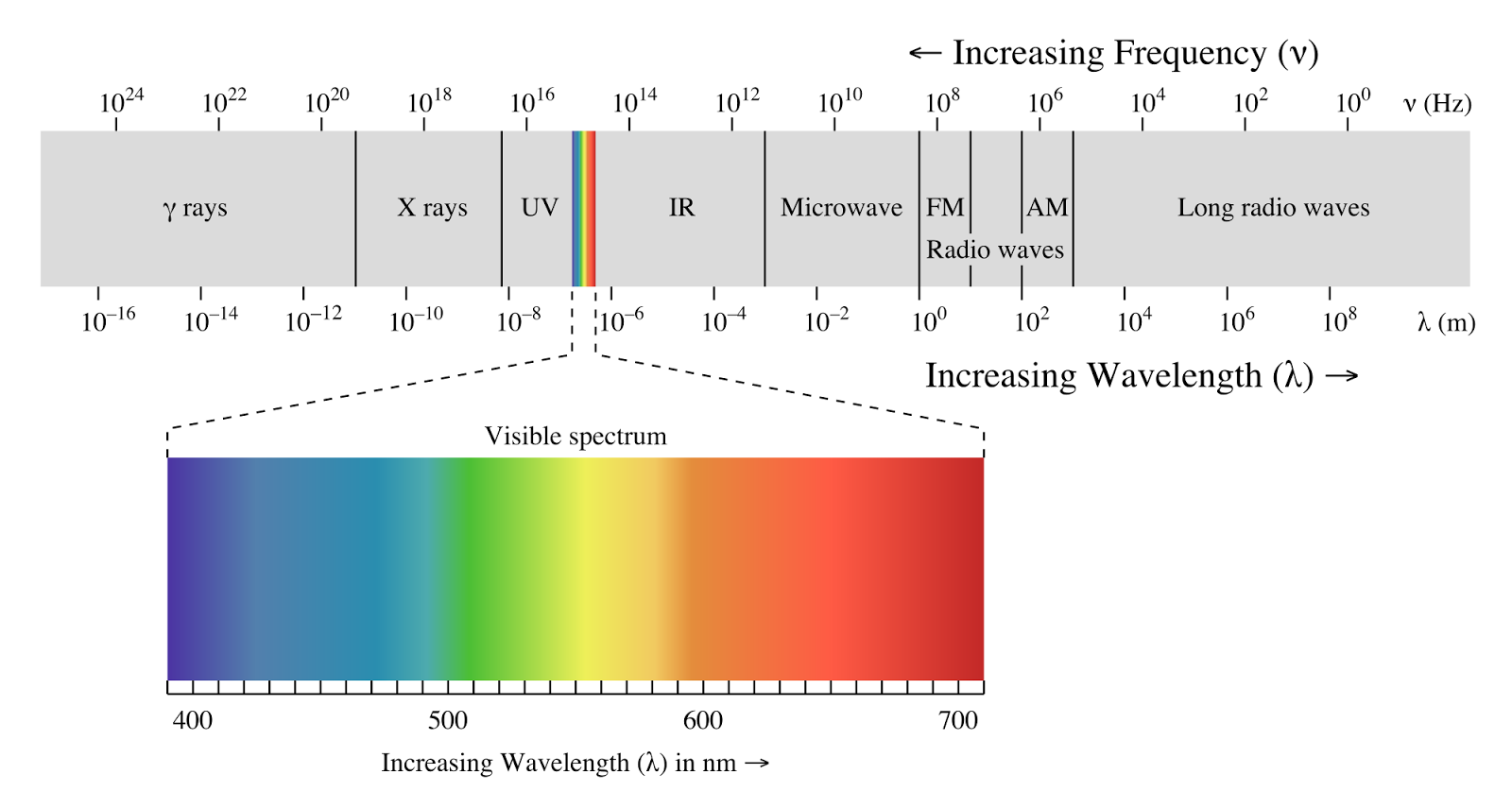 MuonRay: NIR Environmental Vegetation Monitoring For Ecosystems and ...