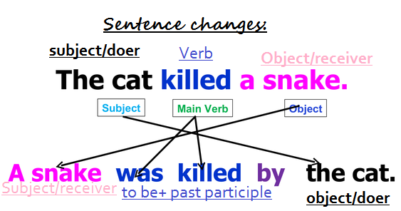 The Approximate: 2nd year baccalaureate lessons