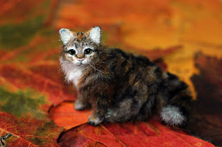 Ririne's Miniatures: Toronto miniature show art exchange for a 1/12 ...