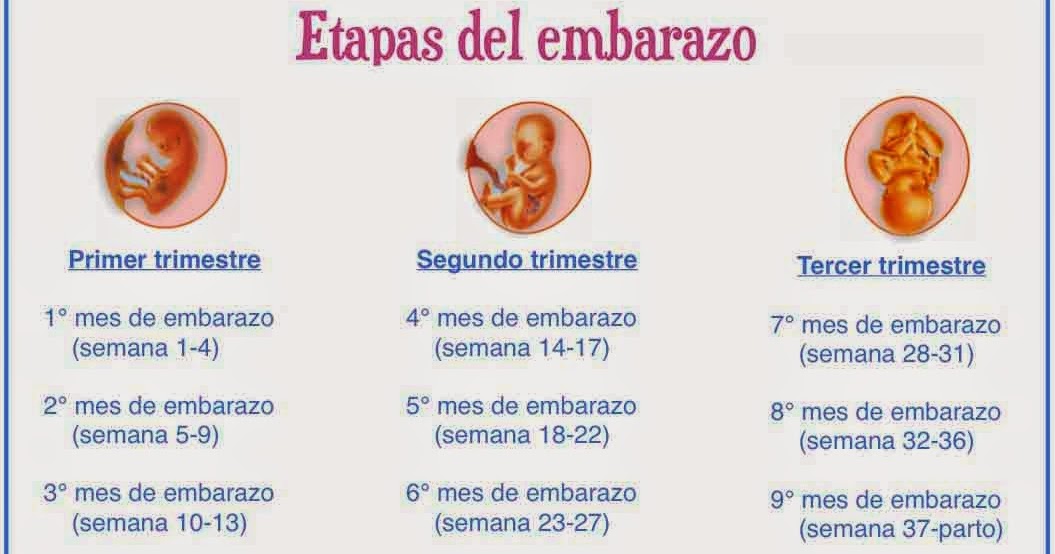 Todo sobre el embarazo, síntomas de embarazo, pruebas de embarazo y más ...