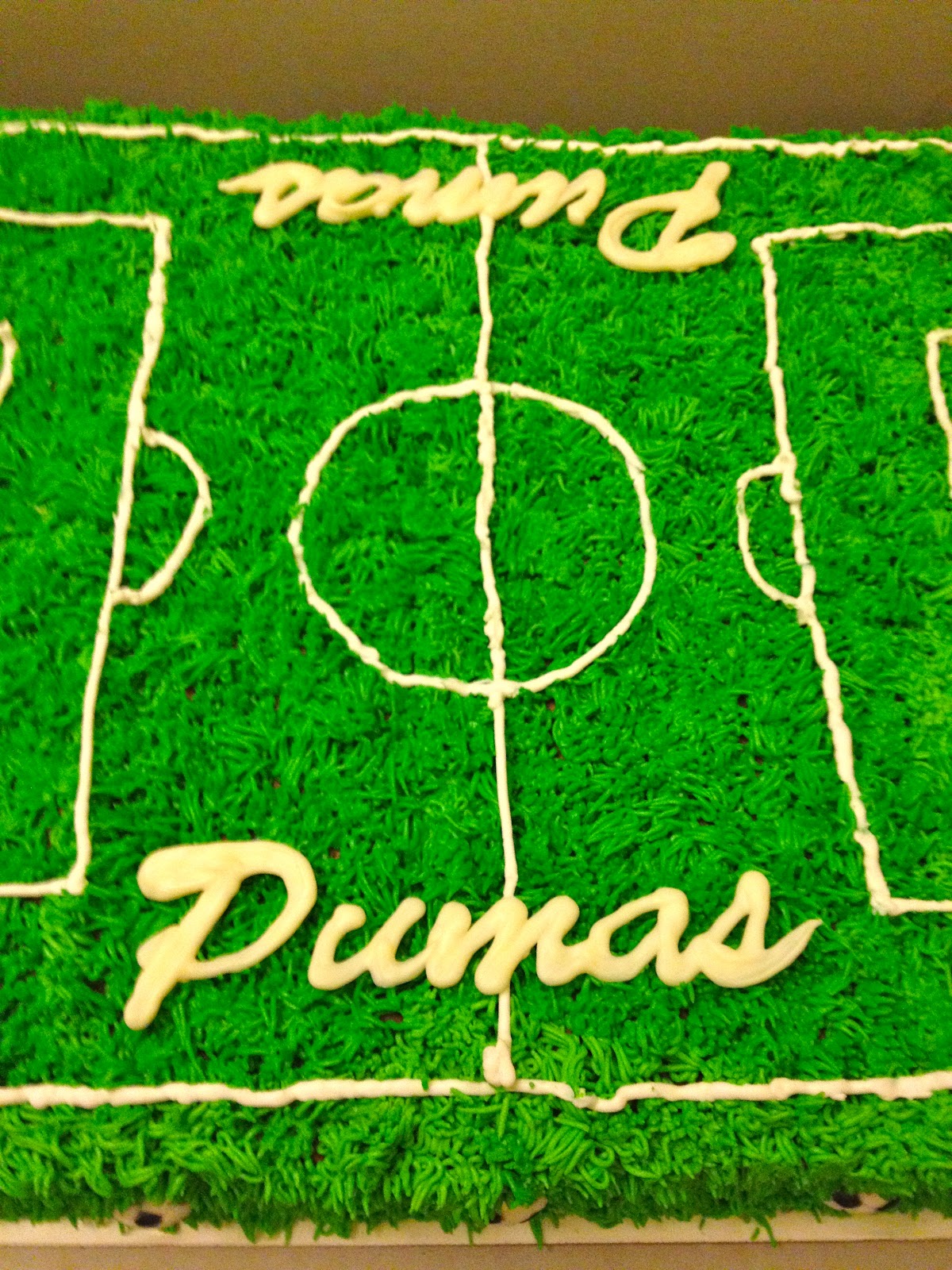 CAKES BY ARIANA AND CORRYN: Pumas Soccer Cake