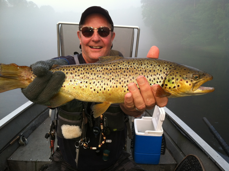 "GIVE US THIS DAY OUR DAILY CAHILLS!"......AND THE MAGIC OF FOG AND ...