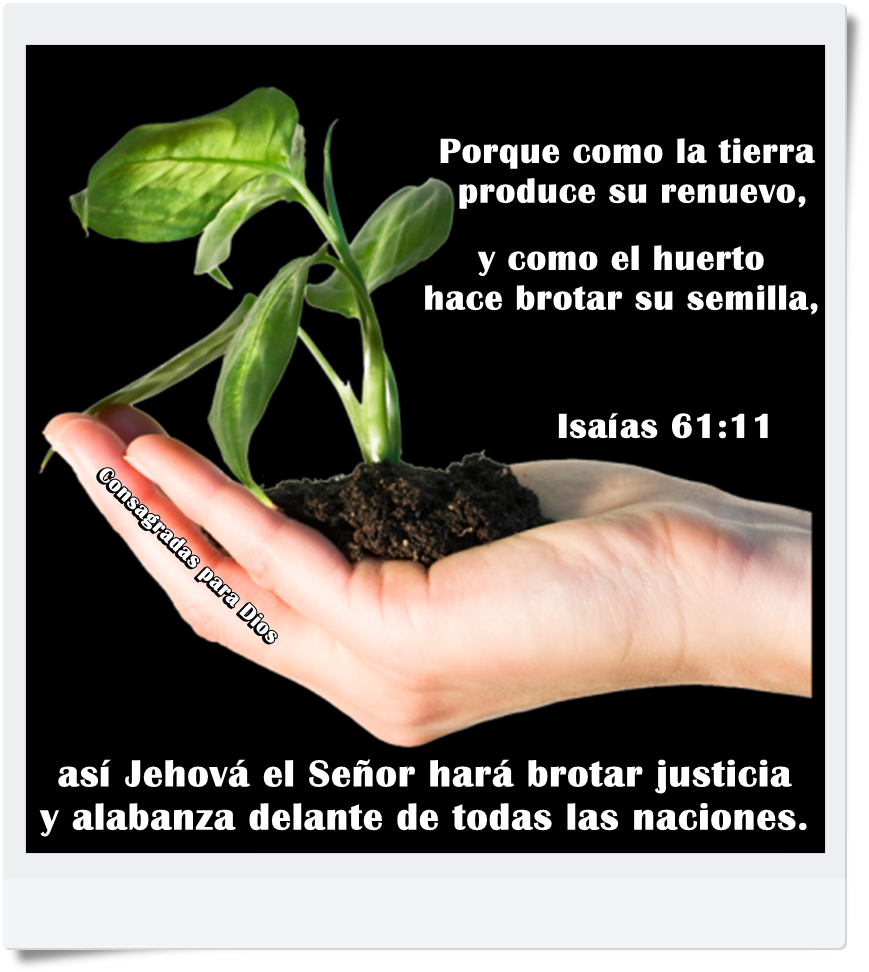 CONSAGRADAS PARA DIOS: Tenemos un Dios de justicia... CONSAGRADAS PARA DIOS: Tenemos un Dios de justicia...